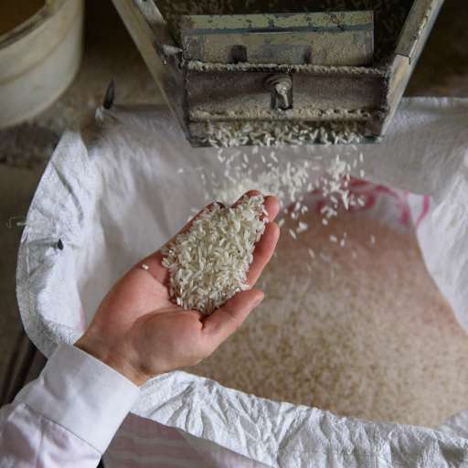 SINOGRAIN II Work Packages - Nibio