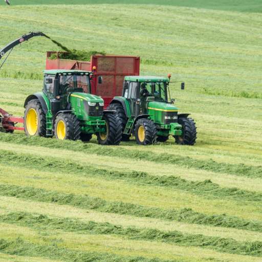 Forage production - Nibio